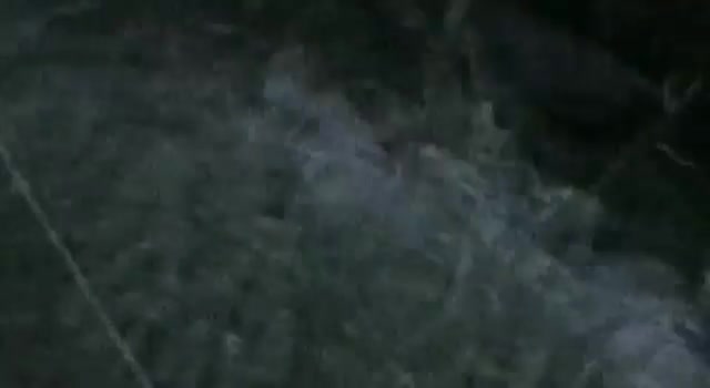 Zero Killed Trailer (Deutsch) (2012)